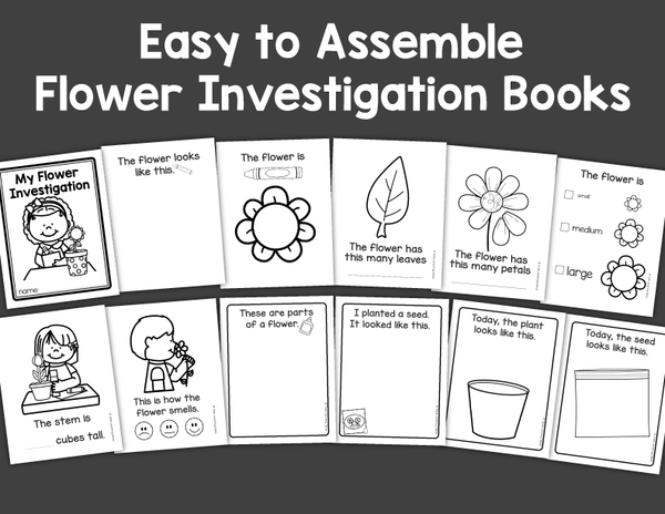 Flower Science Investigation Activities for Preschool – Early Learning ...