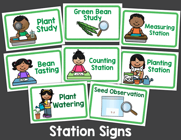 Plants & Seeds Science for Preschool & Pre-k | Green Bean Investigatio ...