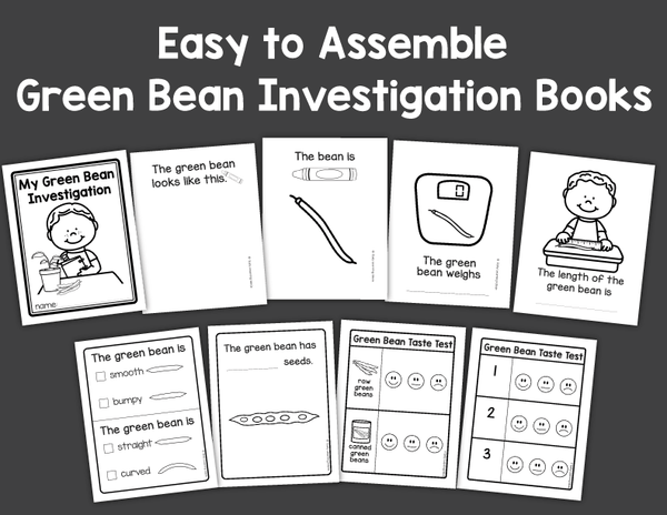 Plants & Seeds Science for Preschool & Pre-k | Green Bean Investigatio ...
