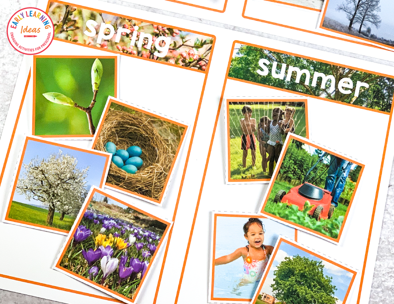 Everyday Science Sorting Activity Bundle – Early Learning Ideas