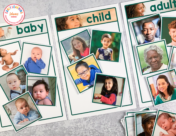 Everyday Science Sorting Activity Bundle – Early Learning Ideas