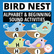 Bird Alphabet and Beginning Sound Matching Activities – Early Learning ...