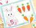 Bunny 1-10 Number and Counting Activities – Early Learning Ideas