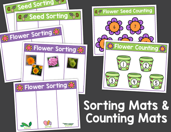 Flower Science Investigation Activities for Preschool – Early Learning ...