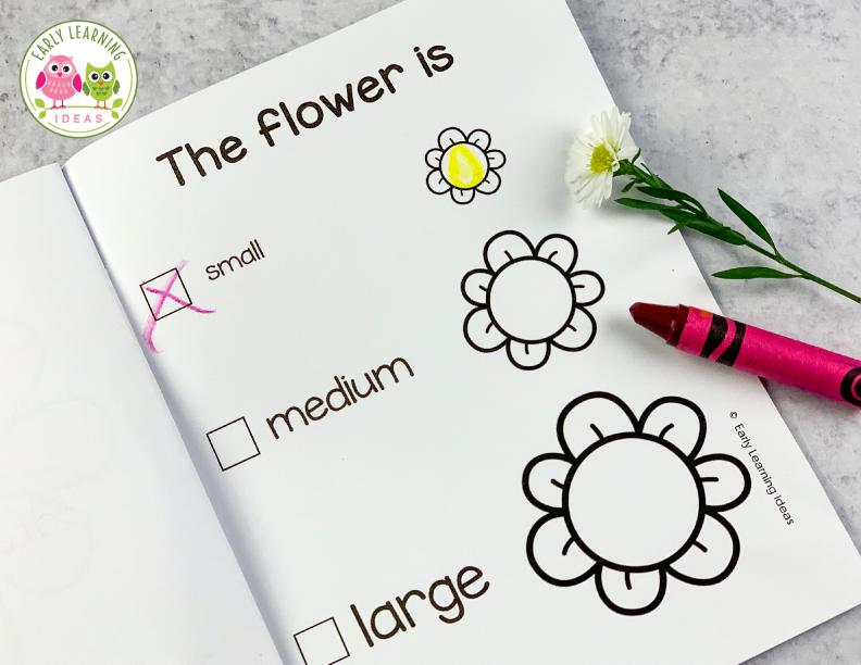 Flower Science Investigation Activities for Preschool – Early Learning ...
