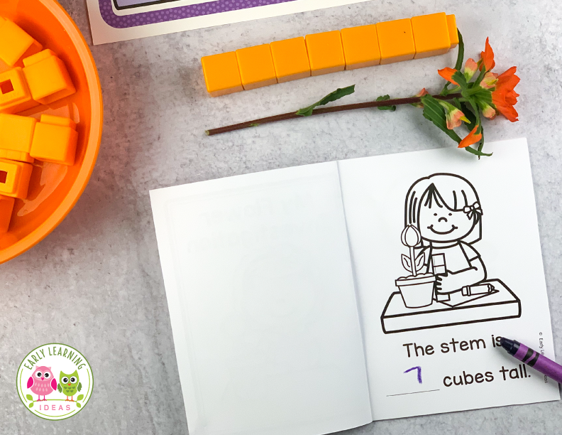 Flower Science Investigation Activities for Preschool – Early Learning ...