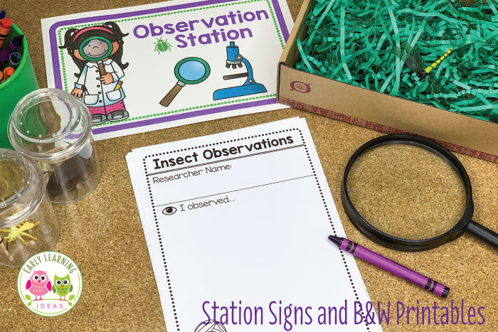 Entomology Lab (Bug Research Lab) Dramatic Play Printables – Early ...