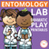 Entomology Lab (Bug Research Lab) Dramatic Play Printables – Early ...