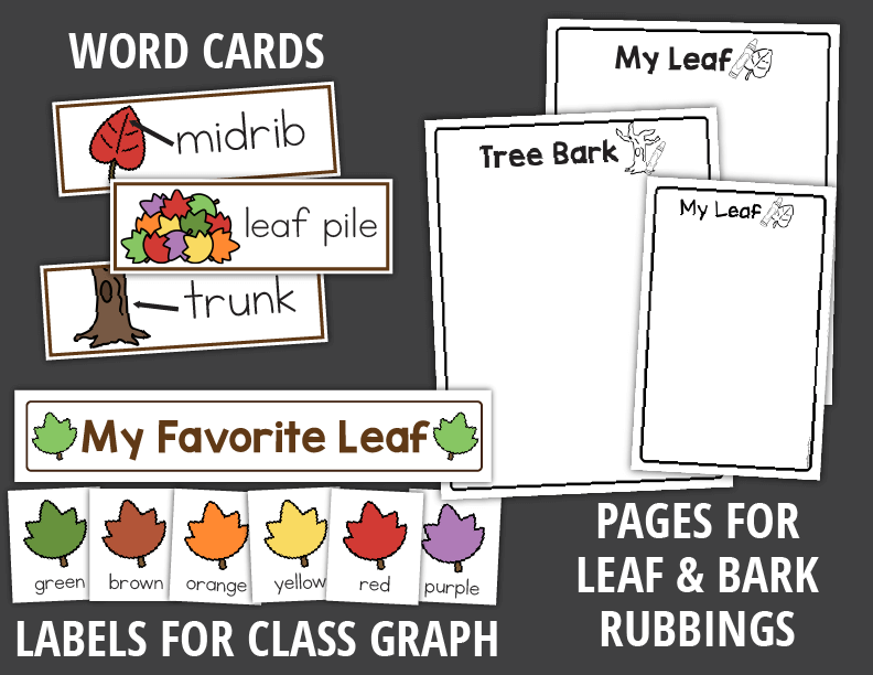 Leaf Investigation Activities – Early Learning Ideas