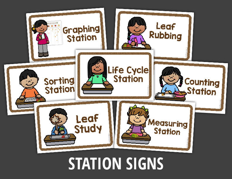 Leaf Investigation Activities – Early Learning Ideas