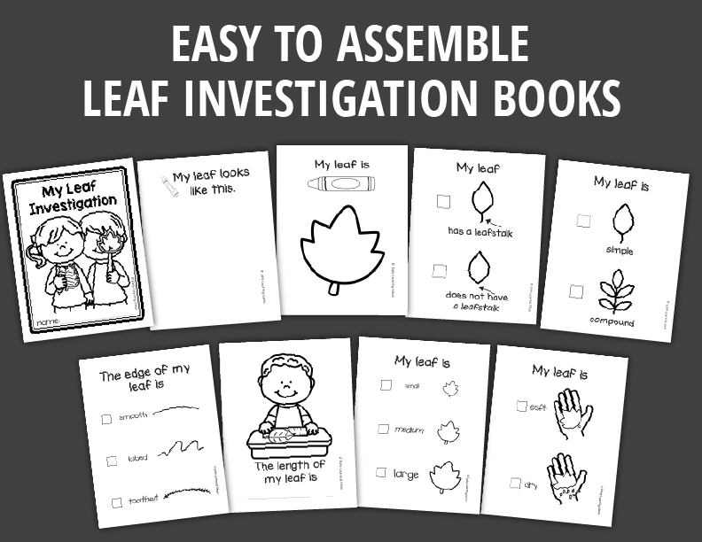 Leaf Investigation Activities – Early Learning Ideas