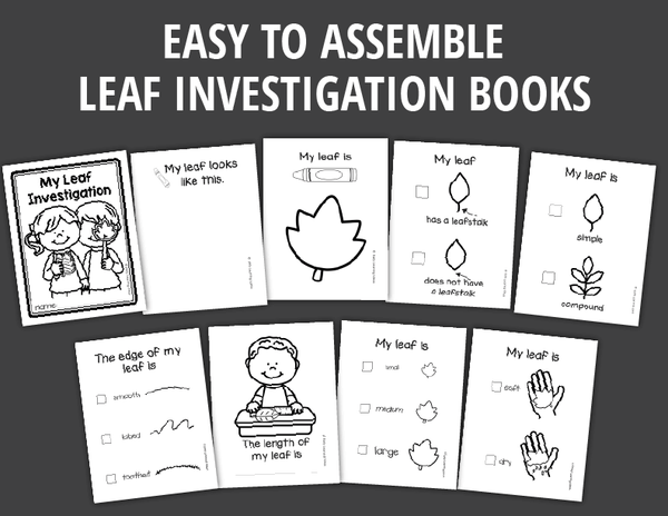 Leaf Investigation Activities – Early Learning Ideas
