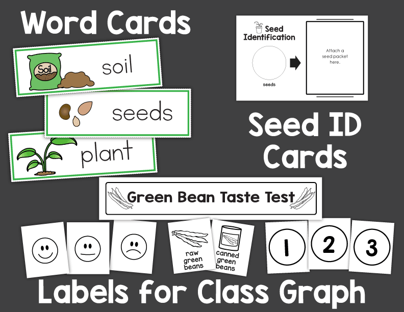 Plants & Seeds Science for Preschool & Pre-k | Green Bean Investigatio ...