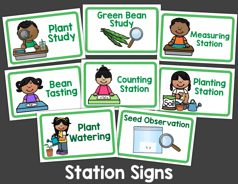 Plants & Seeds Science for Preschool & Pre-k | Green Bean Investigatio ...