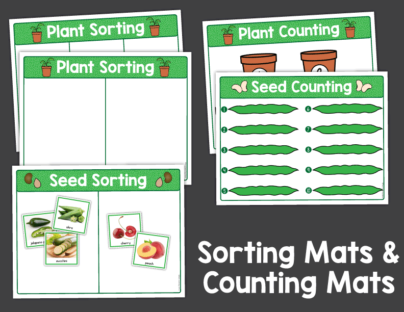 Plants & Seeds Science for Preschool & Pre-k | Green Bean Investigatio ...