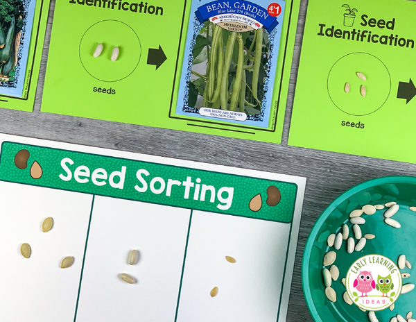 Plants & Seeds Science for Preschool & Pre-k | Green Bean Investigatio ...
