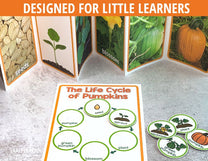 Science Investigation Bundle – Early Learning Ideas
