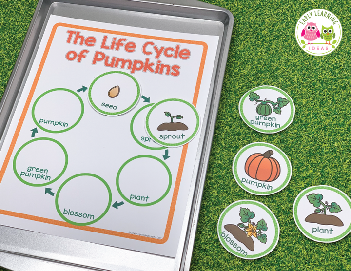 Science/STEM/STEAM – Early Learning Ideas