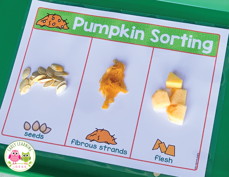 Pumpkin Science Investigation – Early Learning Ideas