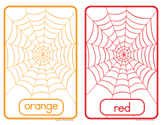 Spider Color & Size Sorting Activities – Early Learning Ideas