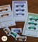 Transportation Color Matching Activity – Early Learning Ideas